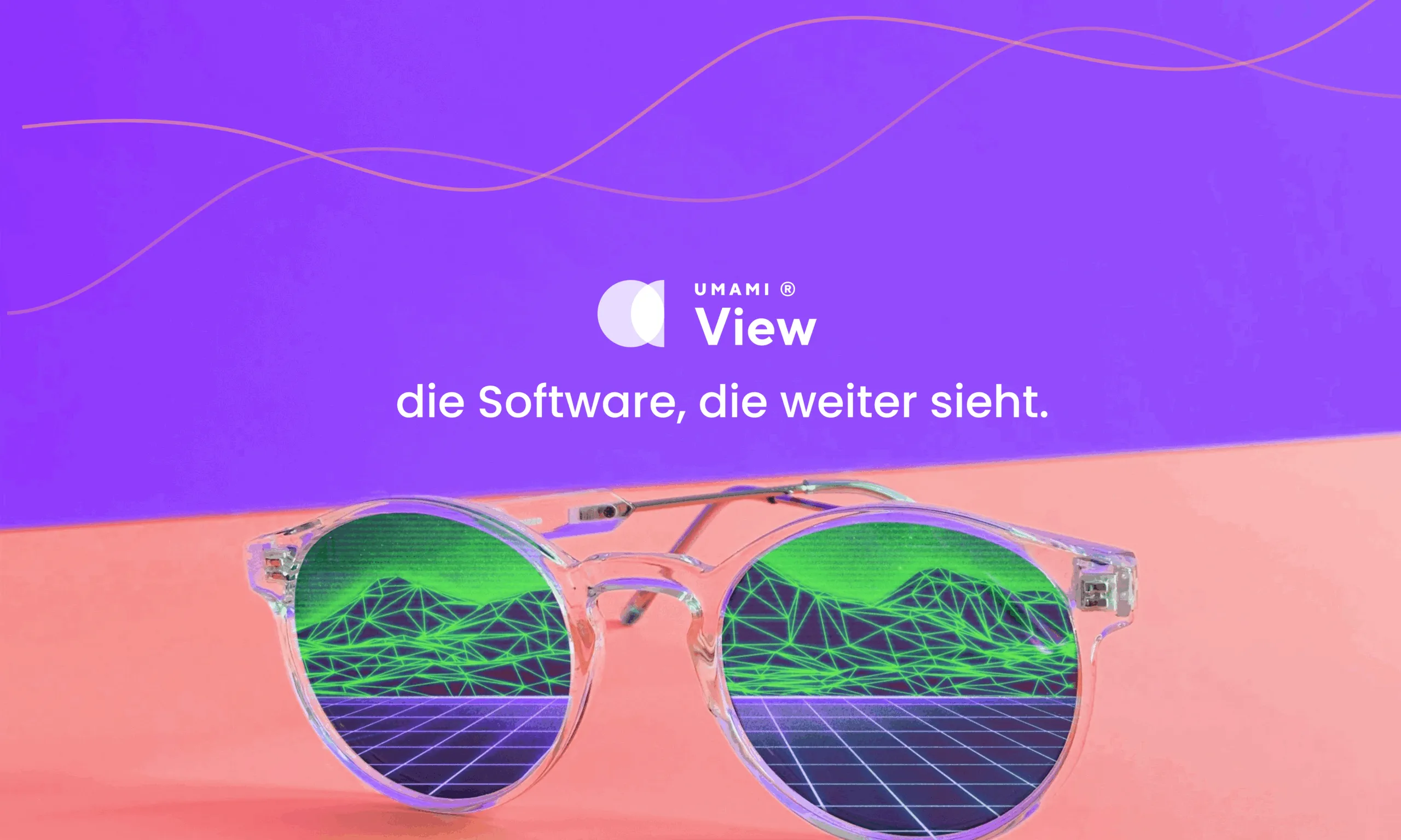 Umami View – Software, die weiter sieht.